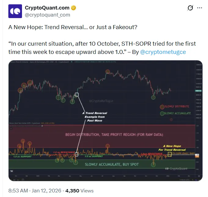 El precio del Bitcoin recupera los 92.000$, ¿es un rebote de gato ...